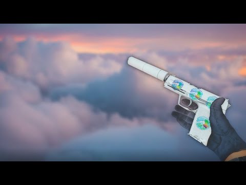 USP-S Whiteout Craft Very Cheap!