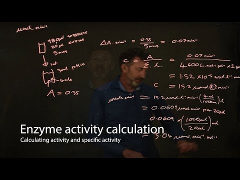 Enzyme calculations - enzyme activity and specific activity