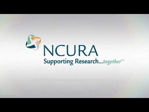 Workplace Cultural Norms: Professionalism