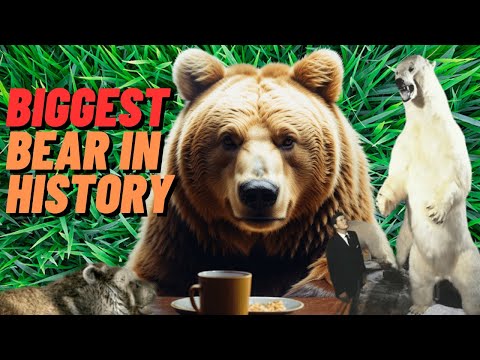 The Gigantic Stature of the Largest Bear Ever Recorded