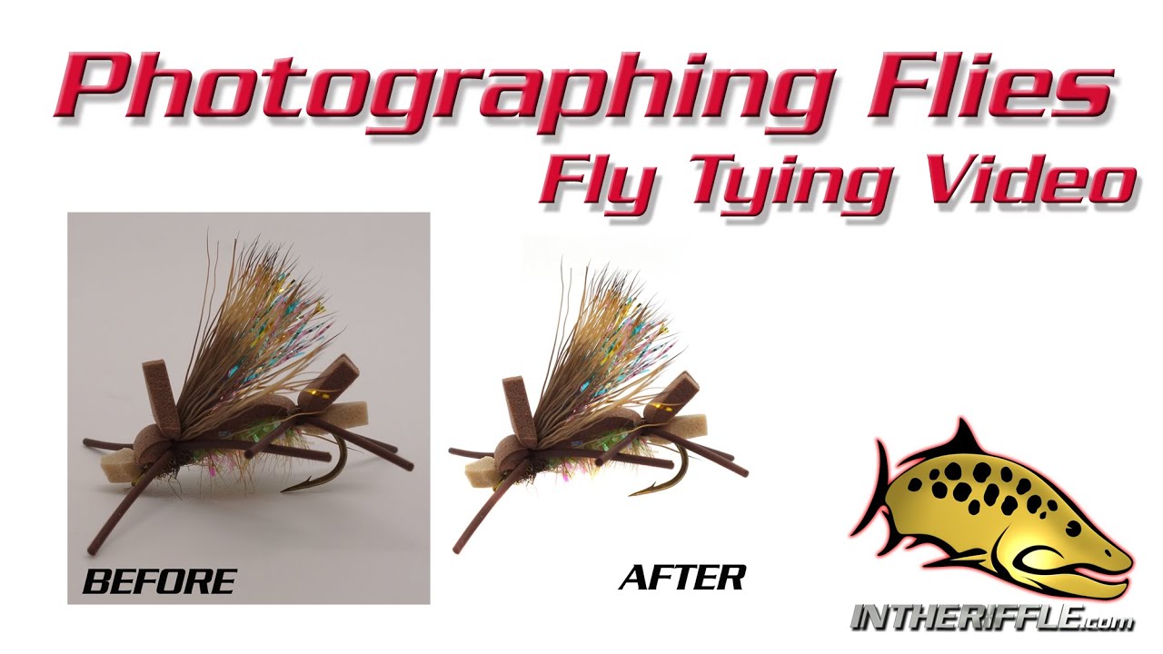 Photographing Flies On White Background - Photoshop Tutorial - Fly Tying Photography