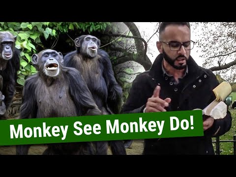 Monkey Business | #SpeakersCorner | #HydePark