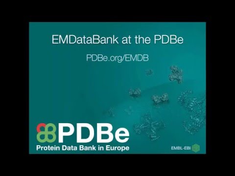 PDBe mini tutorial: searching for EM entries in the EMDB