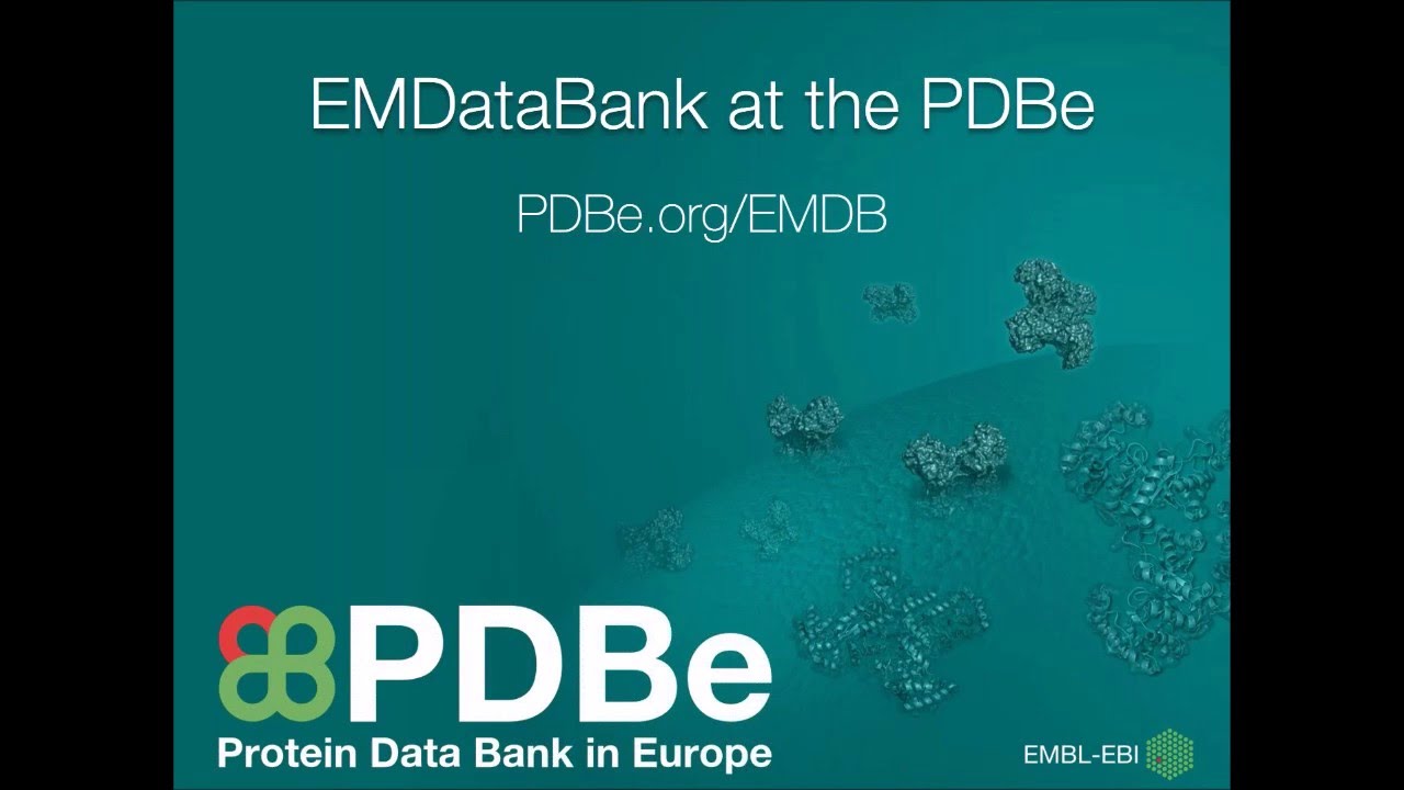 PDBe mini tutorial: searching for EM entries in the EMDB