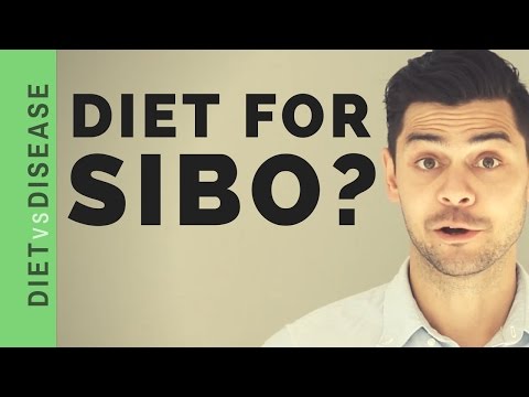 What Is SIBO and Does Diet Matter?