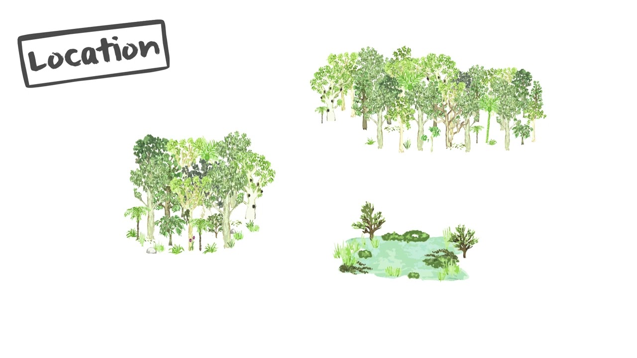 V7. Spatially strategic offsets