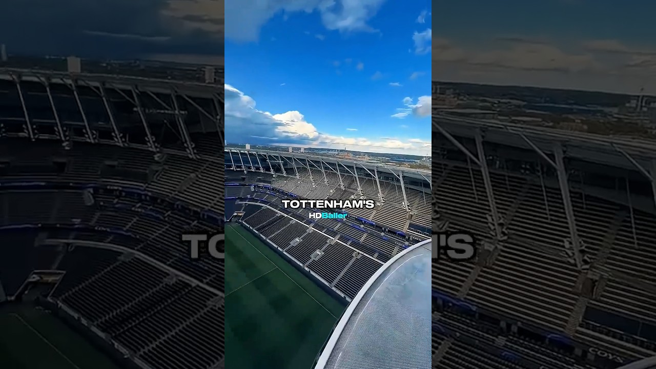 Which One Is The Best?