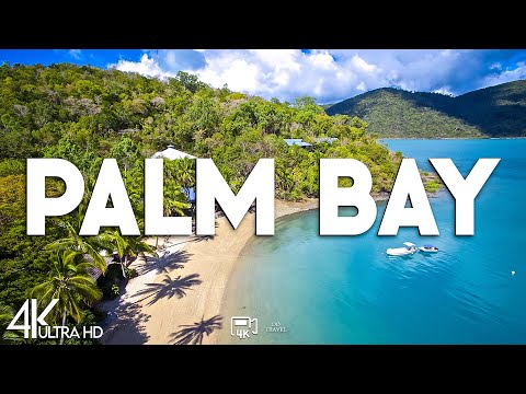 Top 10 Best Things to Do in Palm Bay, Florida - Travel Guide 2025