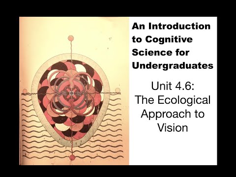 Unit 4.6: The Ecological Approach to Vision