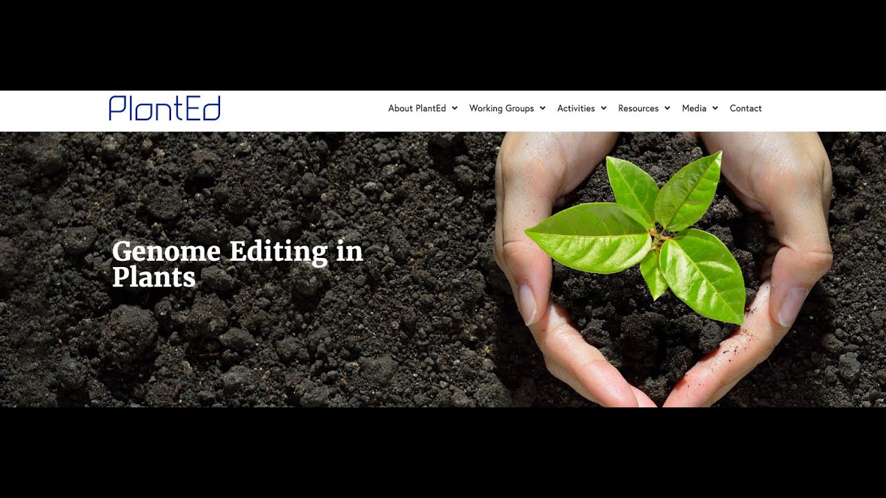 How Plant Genome Editing can make a difference!
