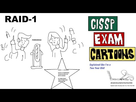 CISSP Cyber Security: RAID 1 (Mirroring) #raid #cissp #faulttolerance