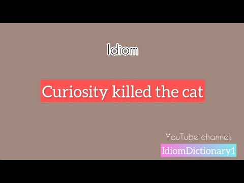 Idiom “ Curiosity killed the cat “ meaning | Speak English fluently #IdiomDictionary