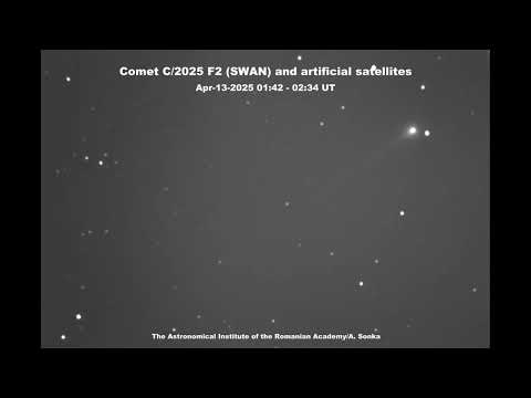 C/2025 F2 SWAN drowned in artificial satellites