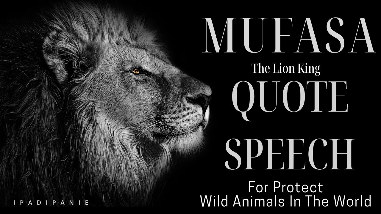 The Lion King Quote  -CINEMATIC Video Quote  Of Mufasa