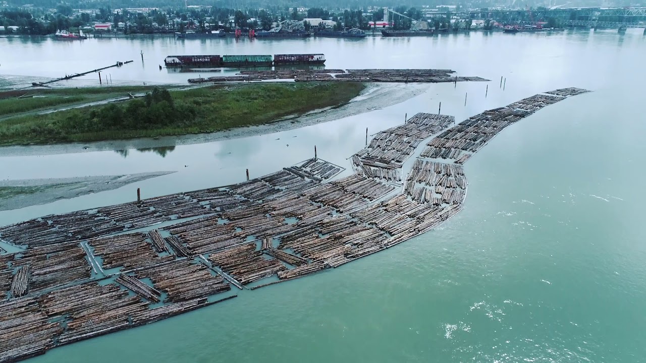 Protect the Fraser River Estuary
