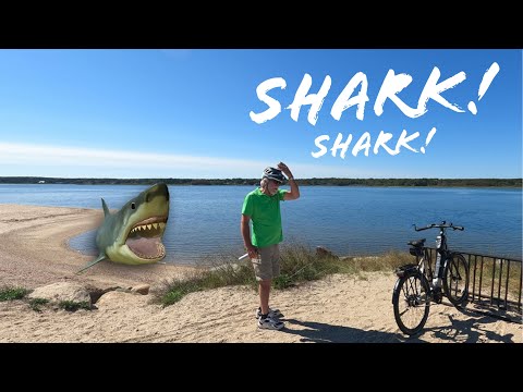 Chasing the Big Shark on Martha's Vineyard! Biking Massachusetts