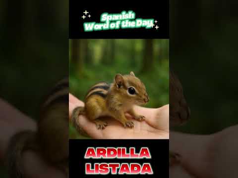 Spanish Word of the Day - Ardilla Listada - Chipmunk