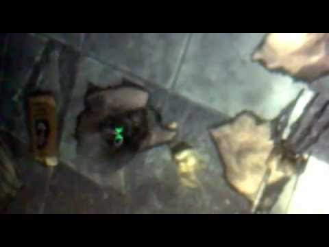 Steam Community :: Video :: Weird glitches - Fallout 3 (Skeleton ...
