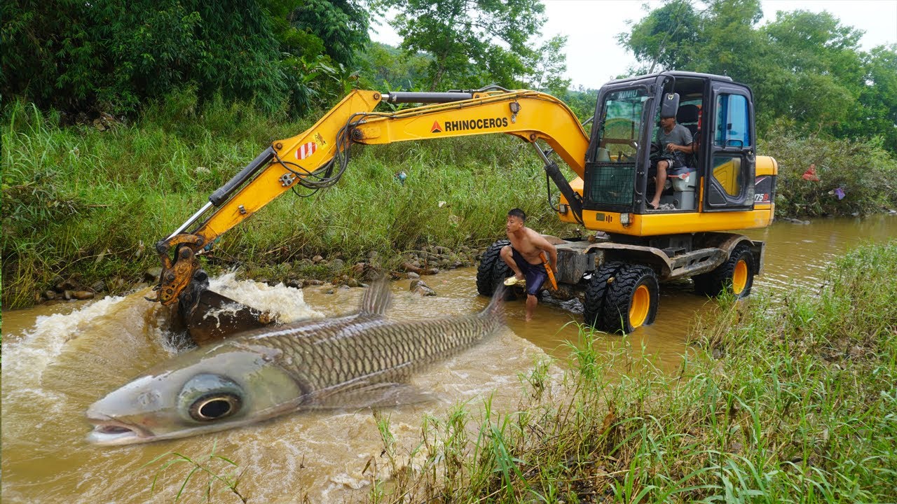Watchers are enthralled when Massive Excavators are used to construct ...