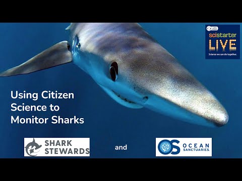 SciStarter LIVE #45: Using Citizen Science to Monitor Sharks