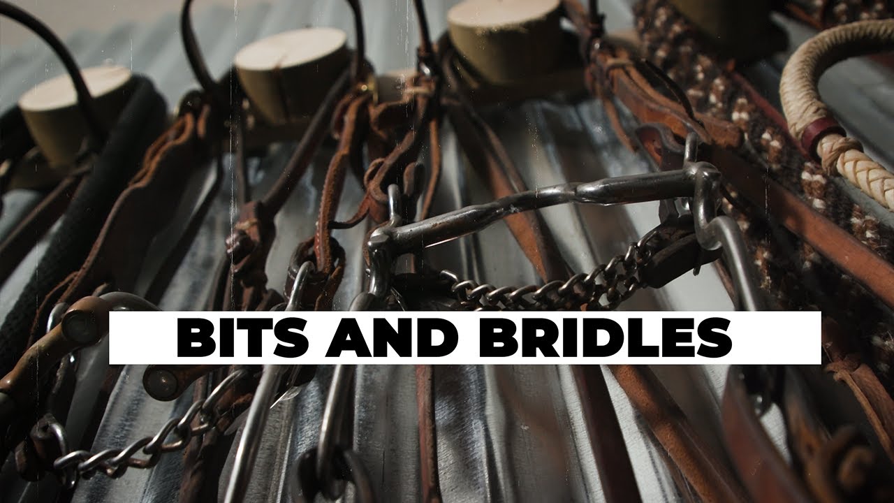 Tack Talk | Introduction to Bridles and Bits