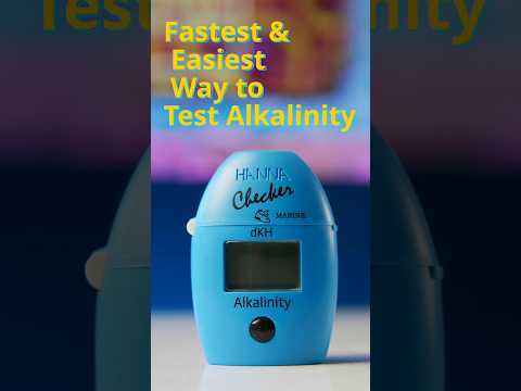 Is This the Easiest Aquarium Test Kit EVER?!