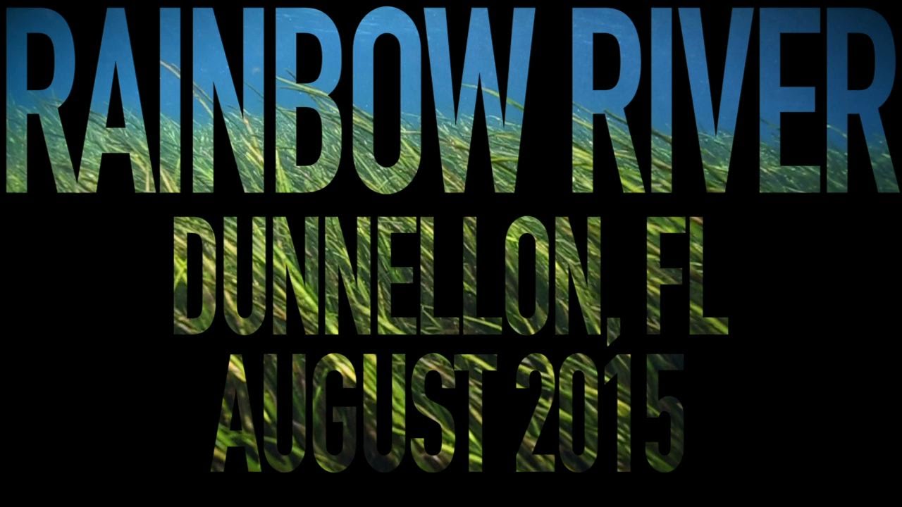 Rainbow River Scuba Diving - August 23, 2015