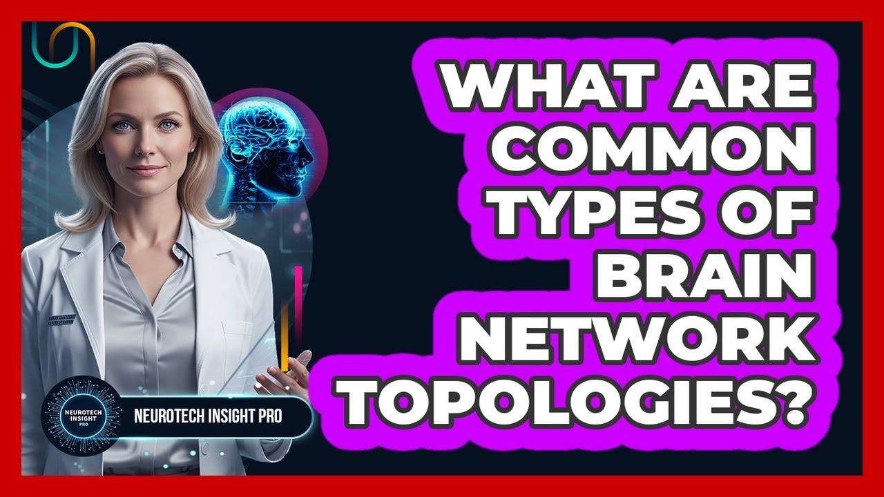 What Are Common Types Of Brain Network Topologies?