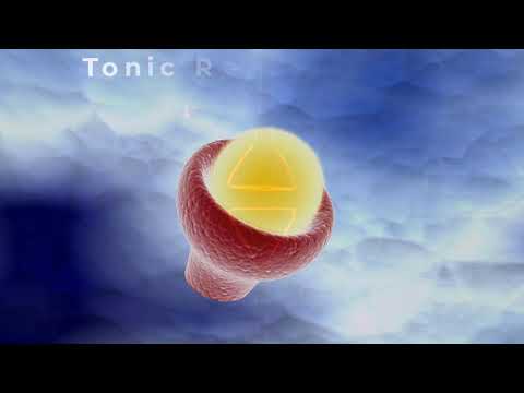 Tonic versus Phasic Sensory Receptors: How They Work in Central Adaptation and Peripheral Adaptation