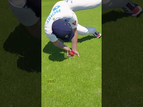 Cricket 24 computer game