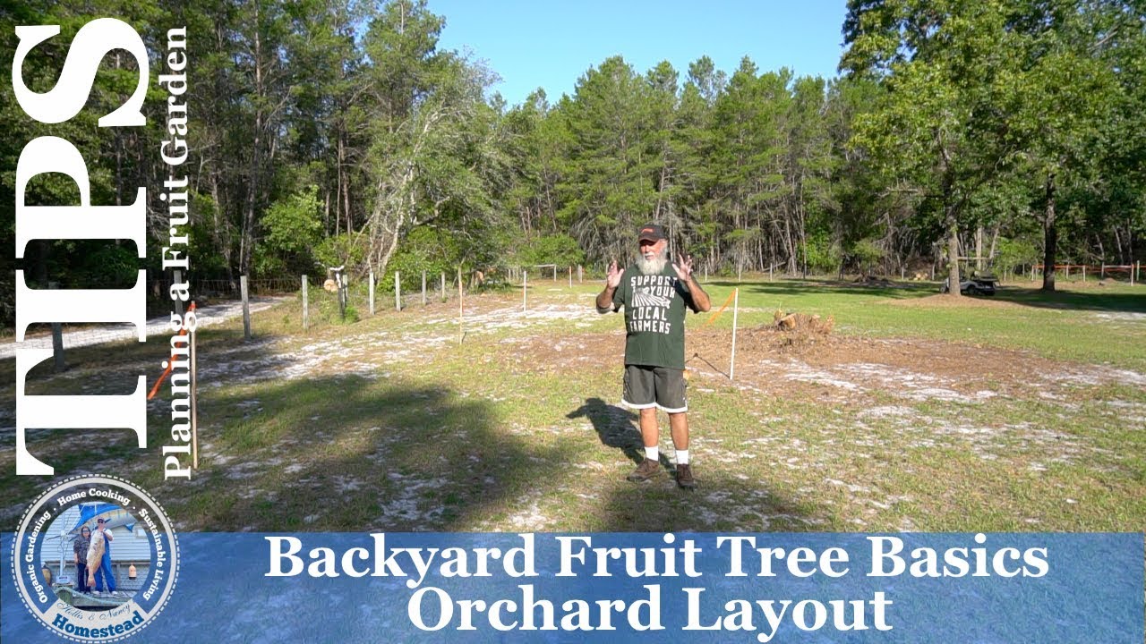 Backyard Fruit Tree Basics  -  Orchard Layout