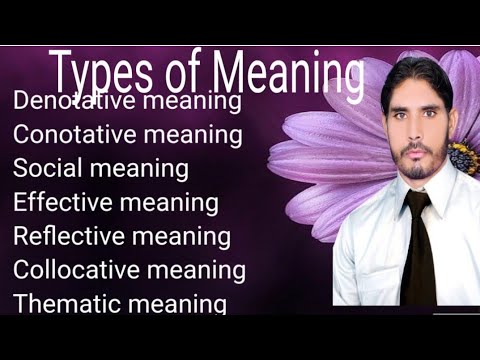 Meaning and Types of Meaning