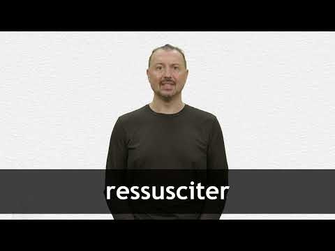 English Translation of “RESSUSCITER” | Collins French-English Dictionary