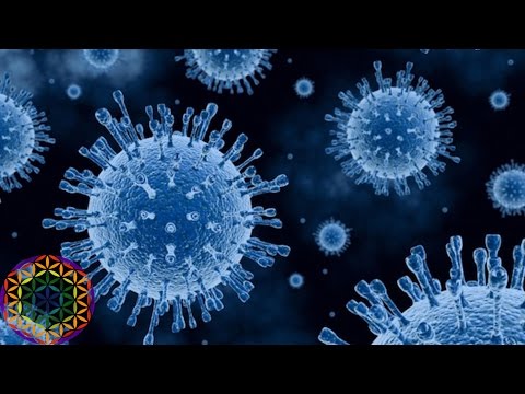 5 Diseases With The Highest Mortality Rate