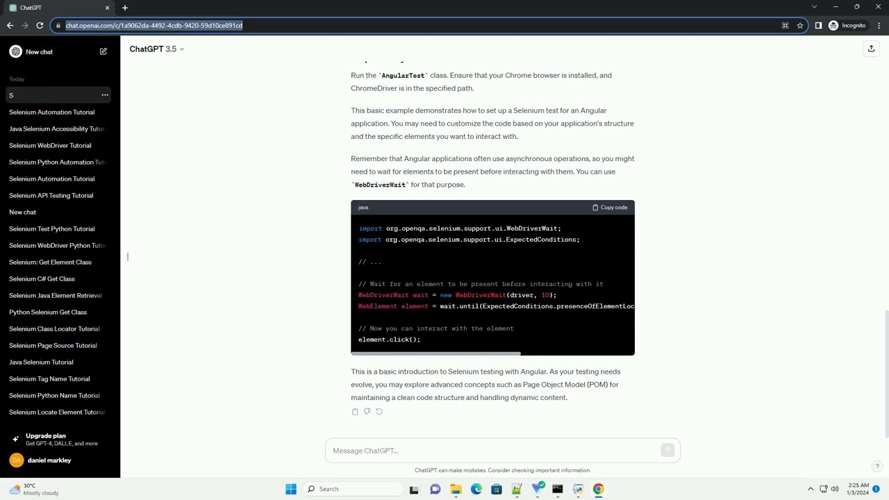 selenium angular testing example