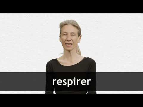 English Translation of “RESPIRER” | Collins French-English Dictionary