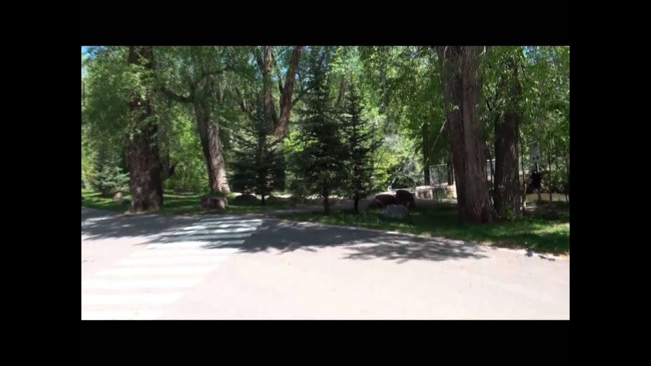 The Ann Korologos Gallery - Close to the Roaring Fork River