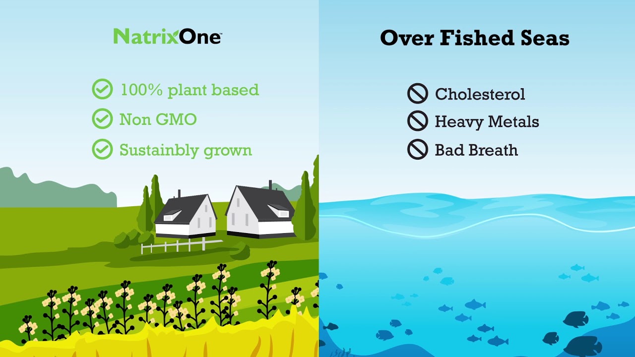 NatrixOne Introduction