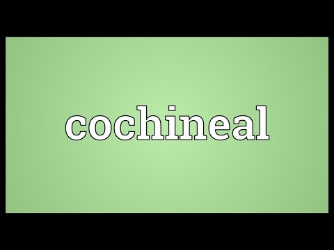 Cochineal Meaning