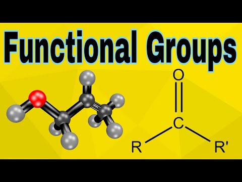 Functional groups organic chemistry class 10 | Carbon and its Compounds | Chemistry| CBSE|In English