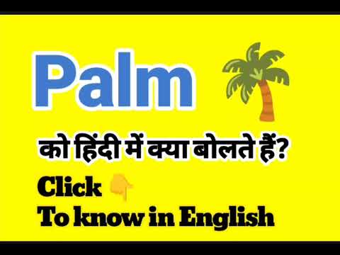 Palm ka kya matlab hota hai || Palm meaning in Hindi
