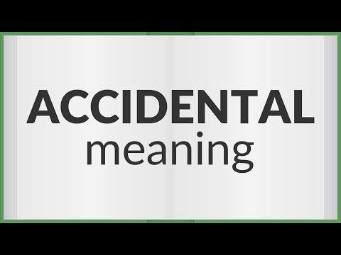 Accidental | meaning of Accidental