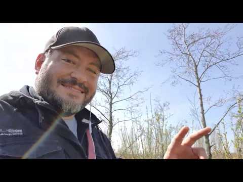 Vlog Post 02. About my Online Training: Digital Tools For Music Education