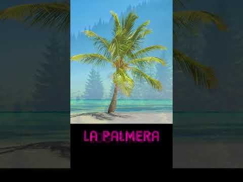 Different trees in Spanish! (109)