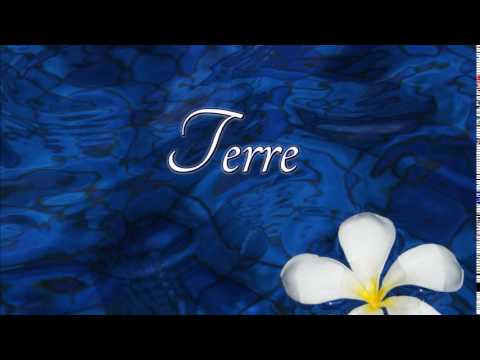 How to pronounce terre in French