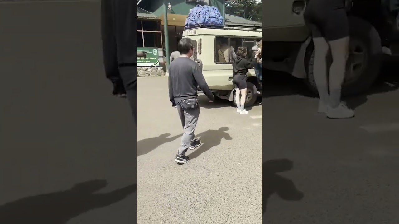 Safari goes wrong 😅 #safari #safarifun #gonewrong Credit: @jampejack