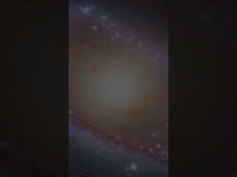 🌌 HOW do STARS Begin Their LIFE and End? The Cosmic Cycle. ✨