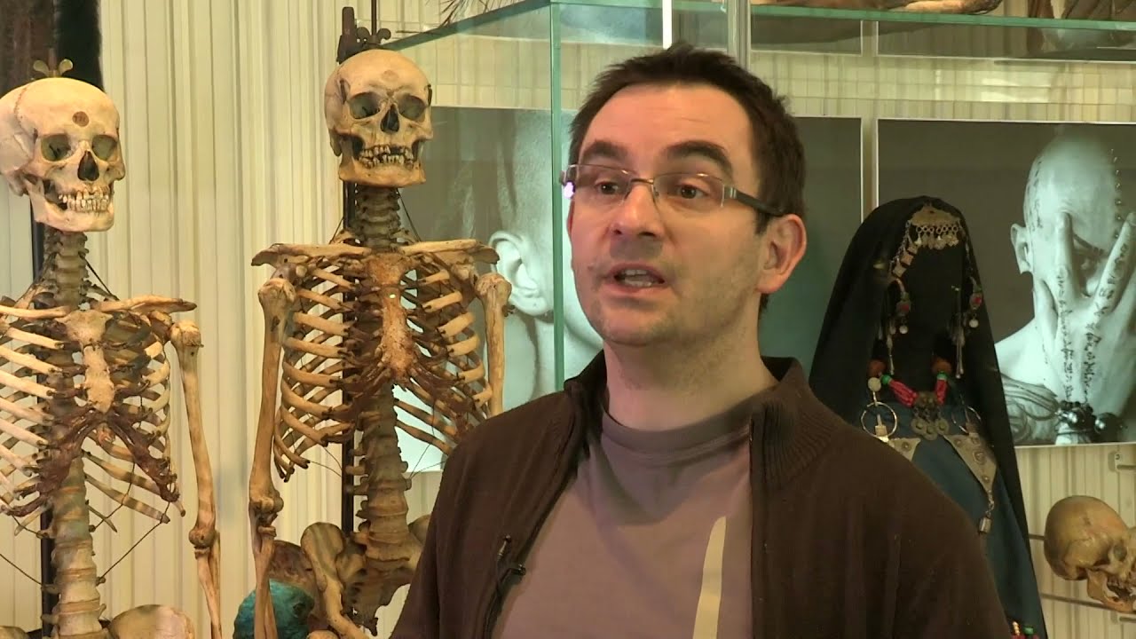 Documentaire Le Coccyx Un Vestige De Nos Ancêtres