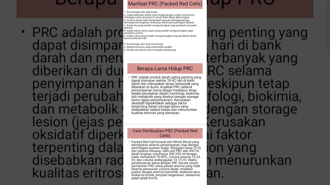 Makalah Bahasa Indonesia 