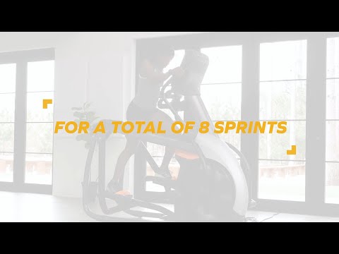 Sprint 8 | Ascent Trainer